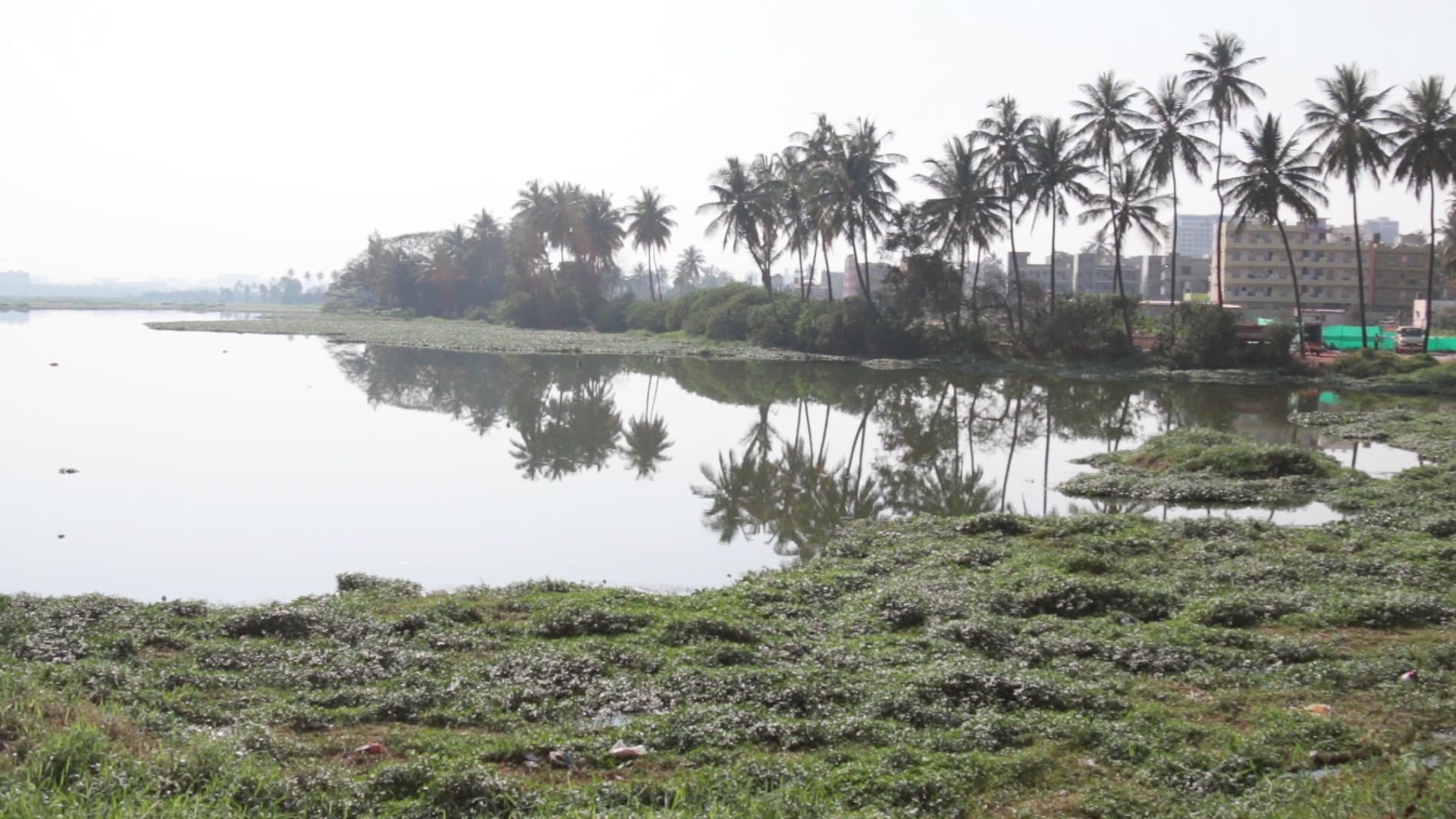 Varthur Lake: From a scenic beauty to toxic froth