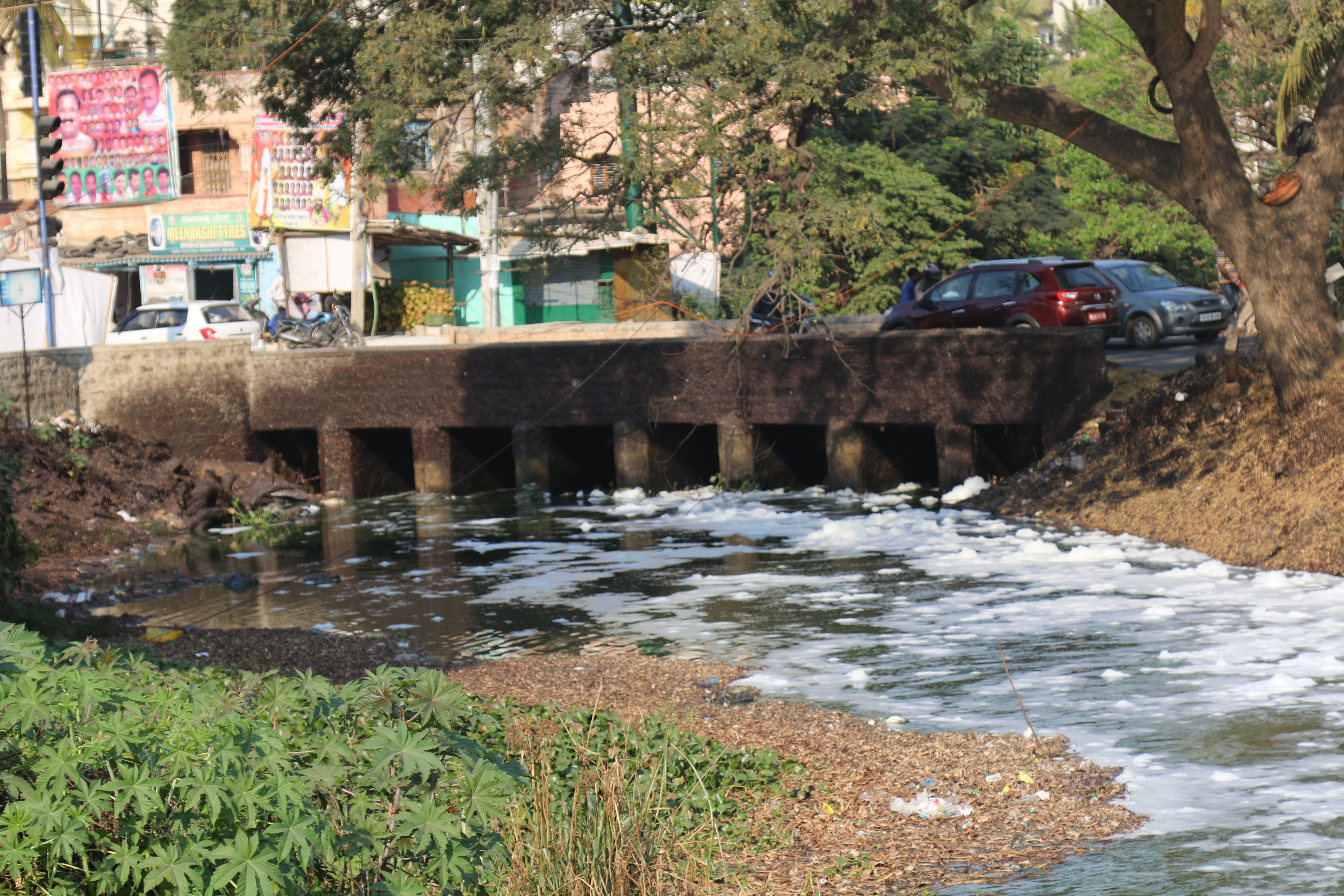 Varthur Lake: From a scenic beauty to toxic froth