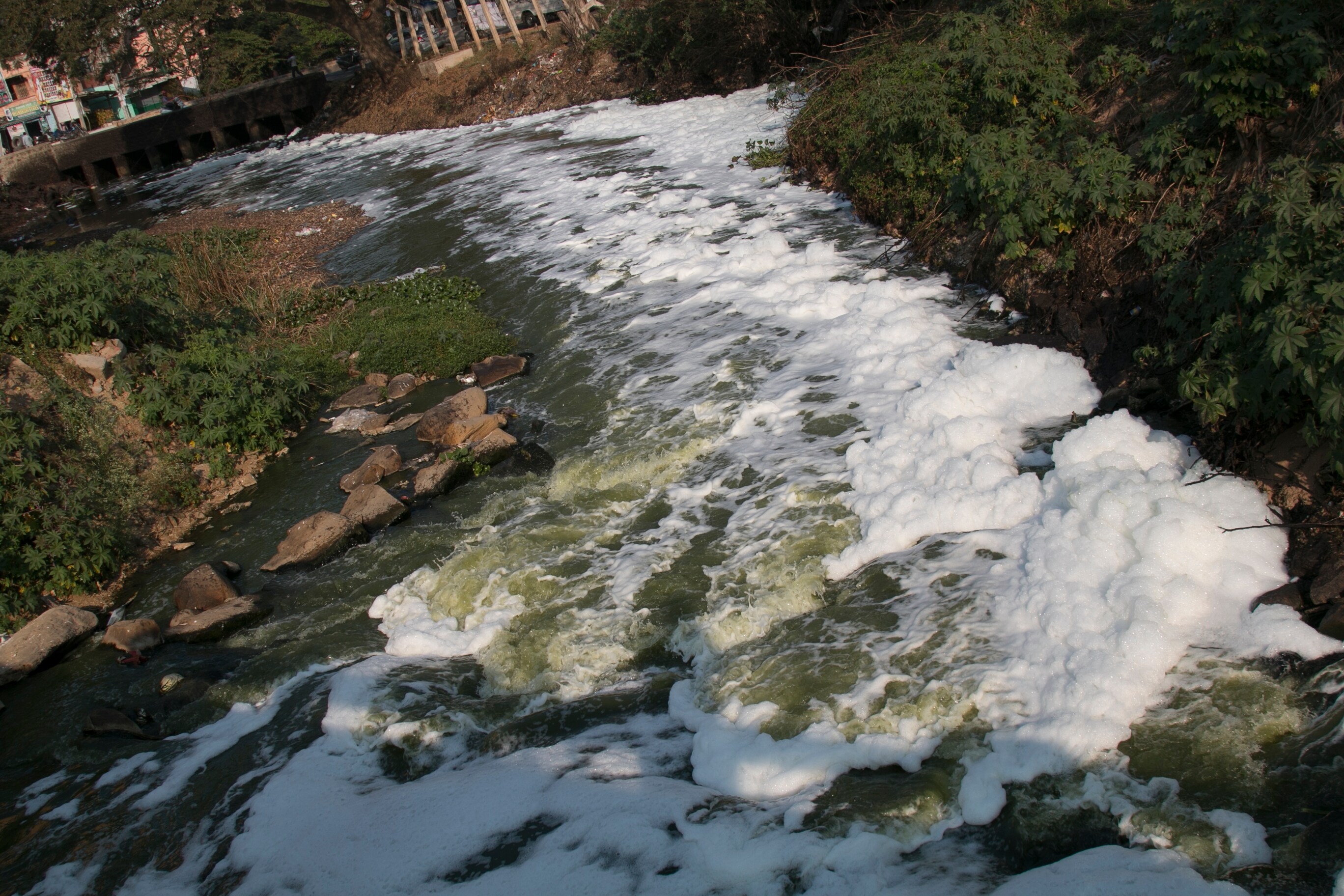 Varthur Lake: From a scenic beauty to toxic froth