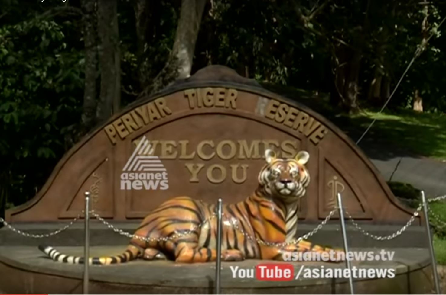 Rare moments of Indian tiger family caught on camera trap