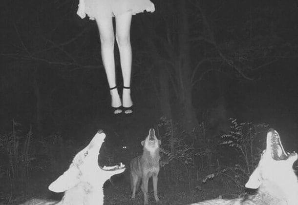 15 horrifying images that will keep you awake at night