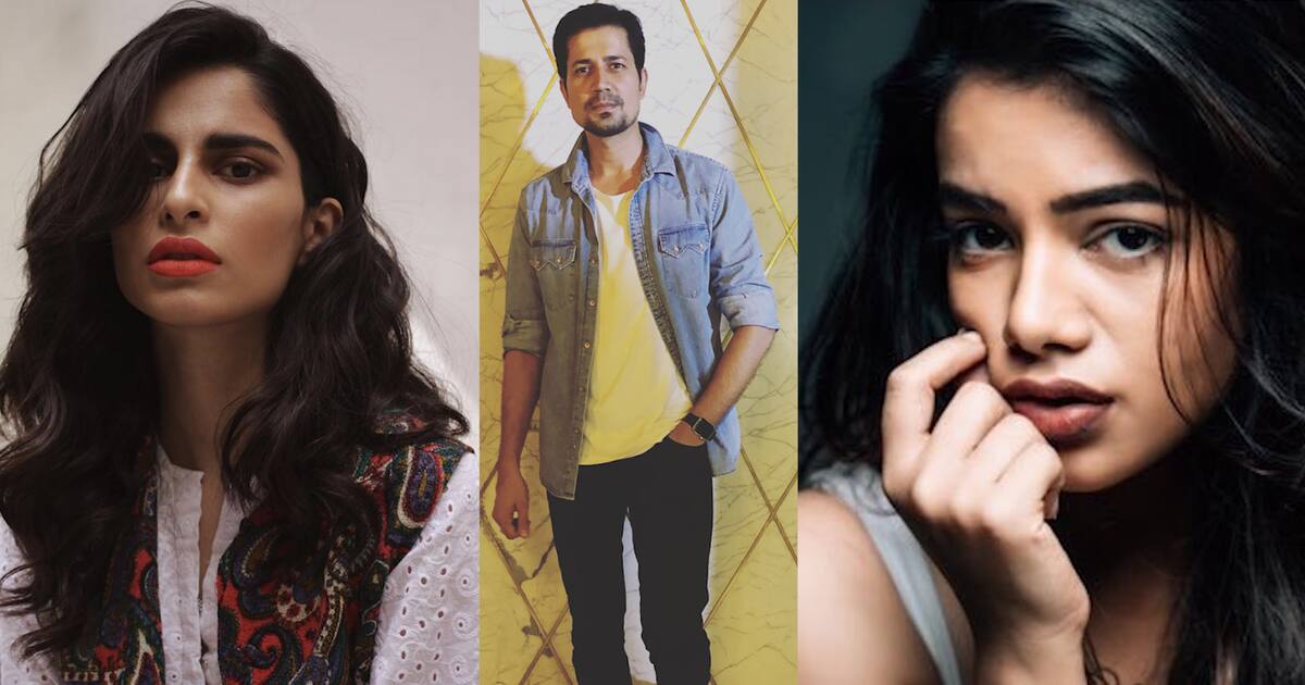 Web series' heroes who earned our love: Here are six such heartthrobs