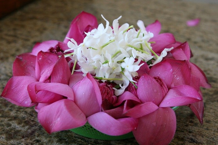 ಯಾವ ದೇವರಿಗೆ ಯಾವ ಹೂ ಶ್ರೇಷ್ಠ?