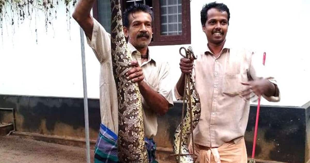 വീട്ടില്‍ നിന്നും മലമ്പാമ്പിനെ പിടികൂടി