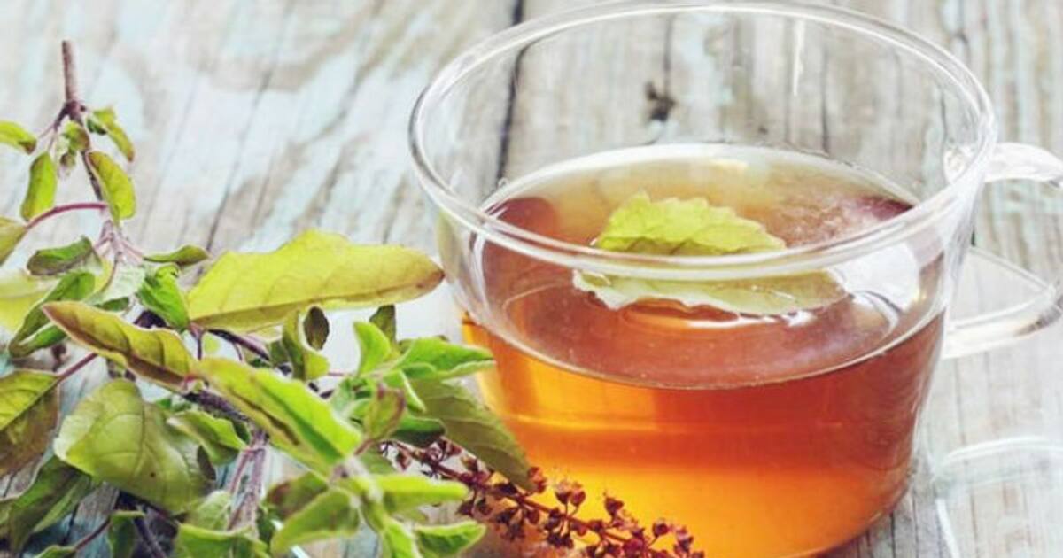 Health benefits you can reap by drinking tulsi tea everyday Health benefits you can reap by drinking tulsi tea everyday