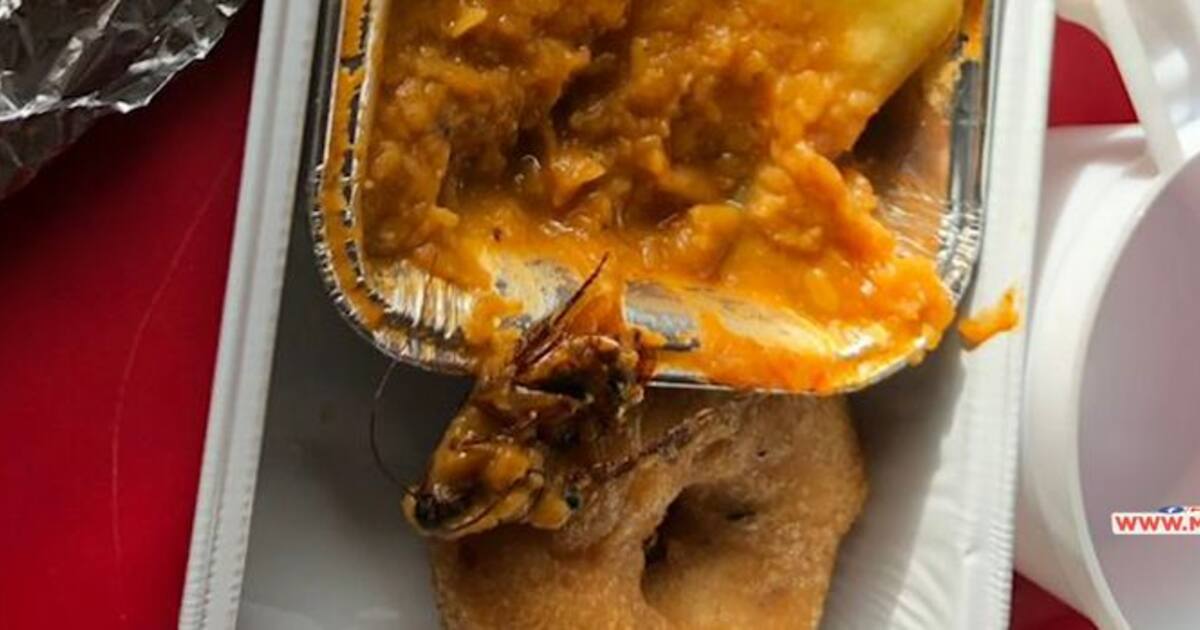 Air India passenger finds dead cockroach in breakfast served on board