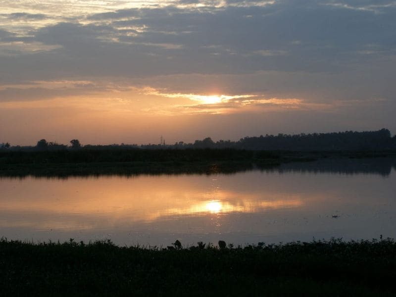 Varthur lake: These pictures from 2007 will leave you surprised