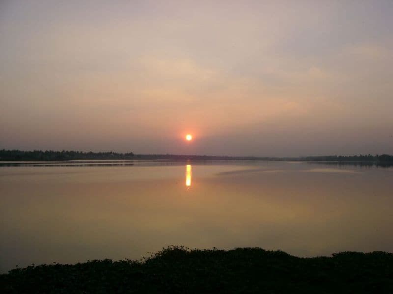Varthur lake: These pictures from 2007 will leave you surprised