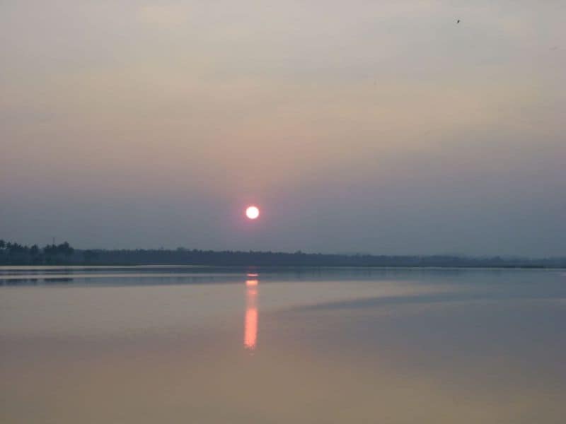 Varthur lake: These pictures from 2007 will leave you surprised