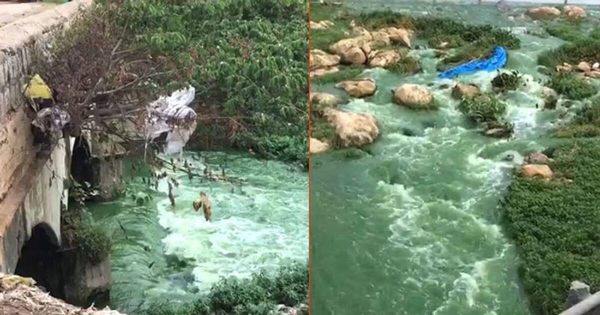 Kolar: KC Valley water turns green due to pollutants; people see red ...