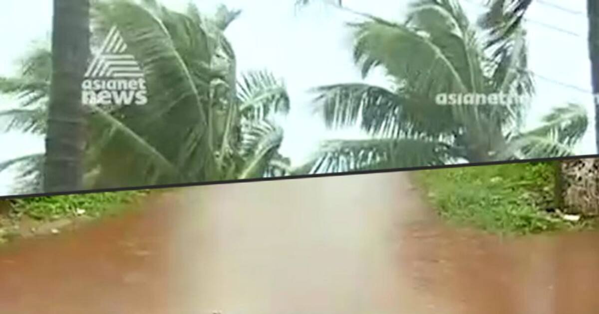 Kerala Rains Imd Issues Red Orange Alerts In State