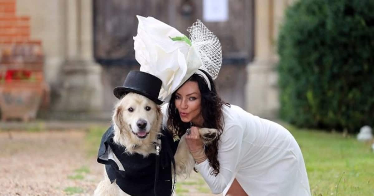 British woman ties knot with her golden retriever, yes a dog!