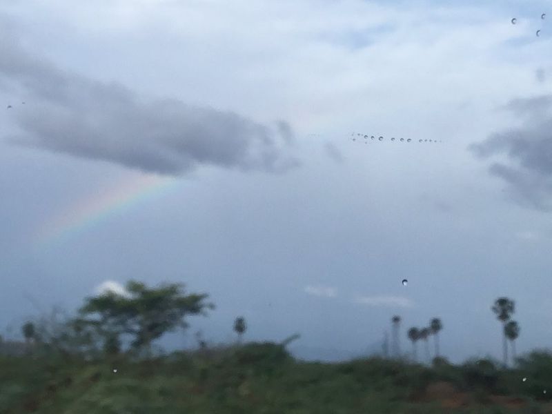 வானவில்லை வளைத்து வளைத்து போட்டோ எடுத்த தமிழிசை ..! இயற்கையை ரசித்த ...