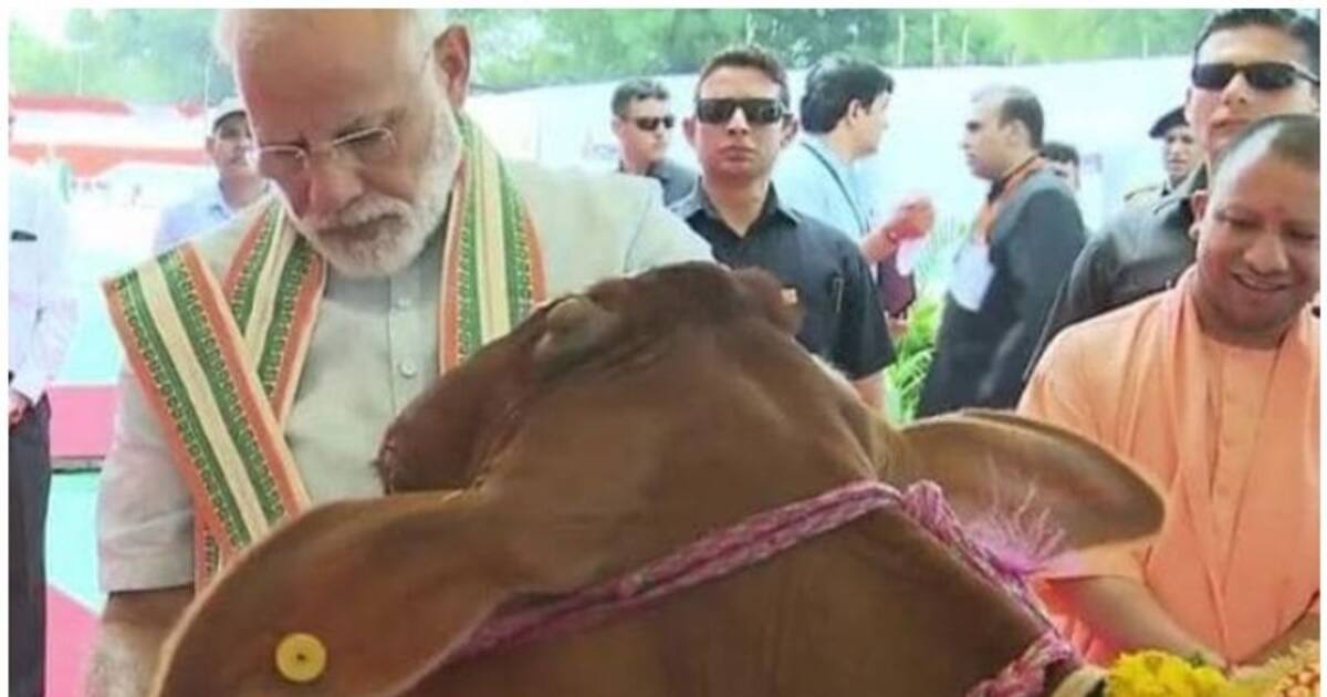 PM Narendra Modi takes a jibe at opposition parties for their ‘cow ...