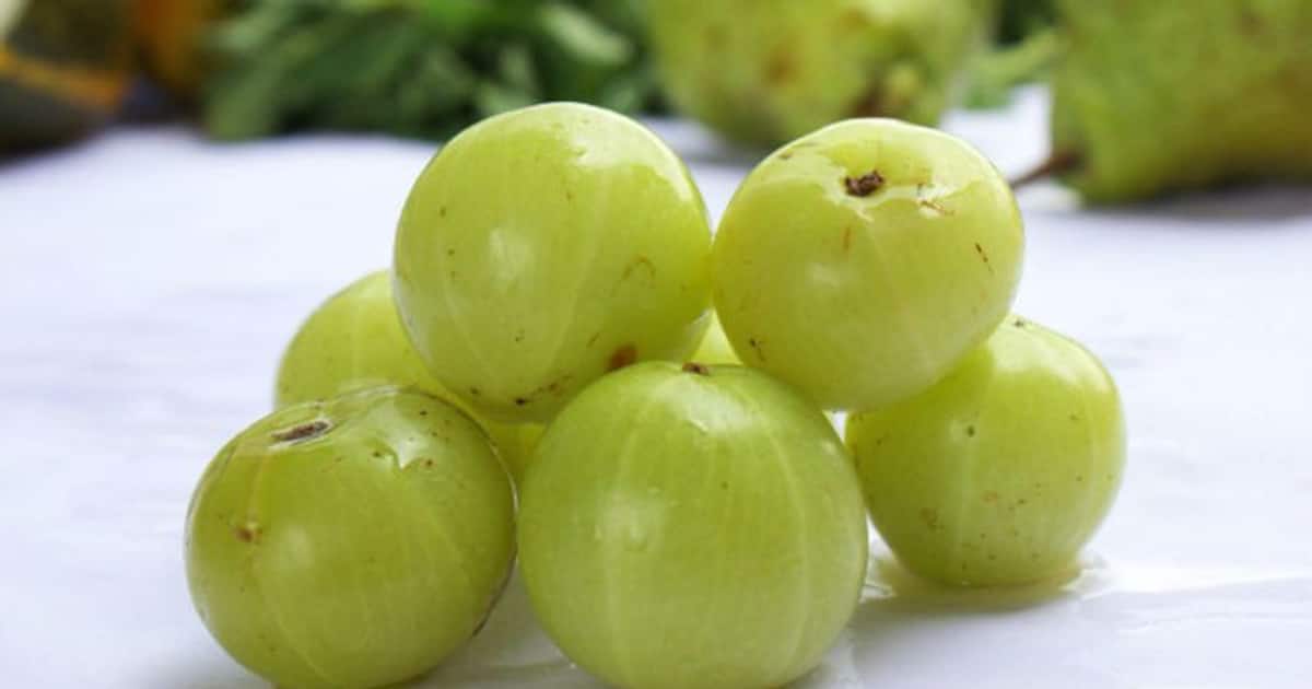 ఆరోగ్య సంబంధం ఉసిరి | Amla - 8 reasons to eat everyday