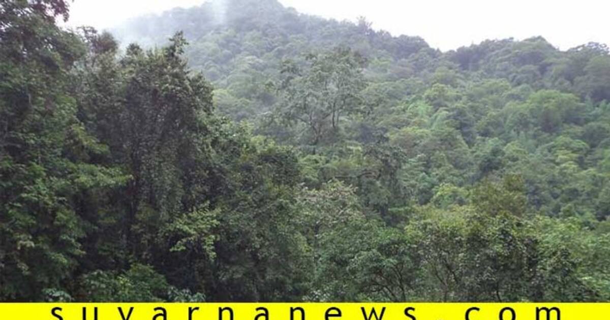 ಅರಣ್ಯ ಕುಸಿತ: ರಾಜ್ಯದಲ್ಲಿ ಶಿವಮೊಗ್ಗ ನಂ.1! | Govt report says Karnataka ...
