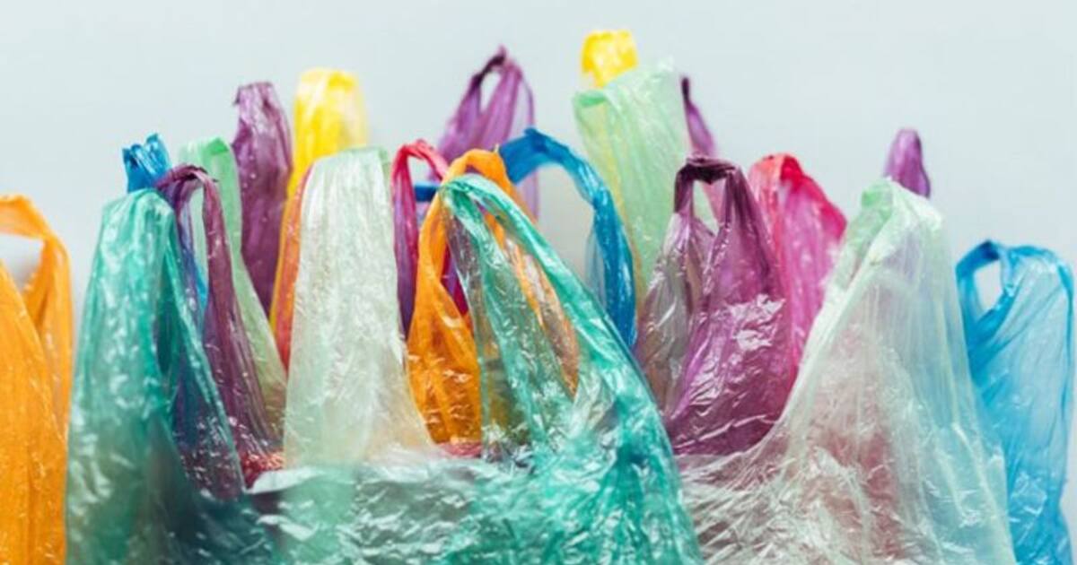 Gift yourself a salubrious environment by saying #NoToSingleUsePlastic