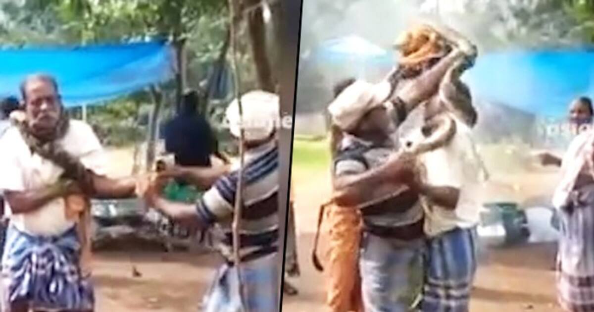 Python coils around man's neck; watch what happened next