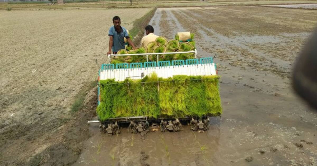 ಕಡಿಮೆ ಖರ್ಚಿನಲ್ಲಿ ಯಾಂತ್ರೀಕೃತ ಭತ್ತದ ನಾಟಿ | mechanized paddy farming in ...