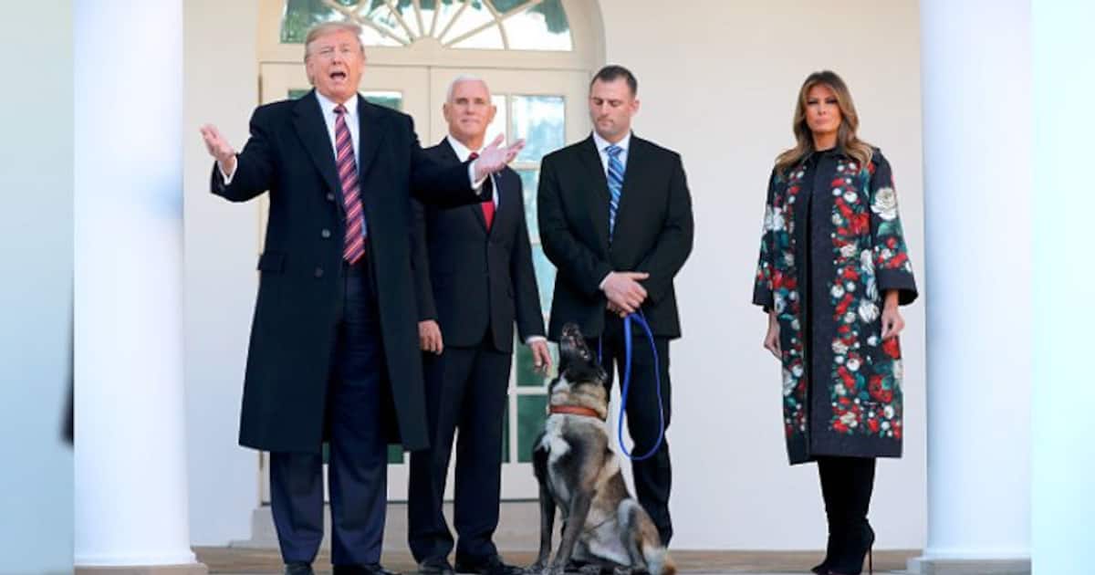 Donald Trump honours canine Conan who played crucial role in Baghdadi raid