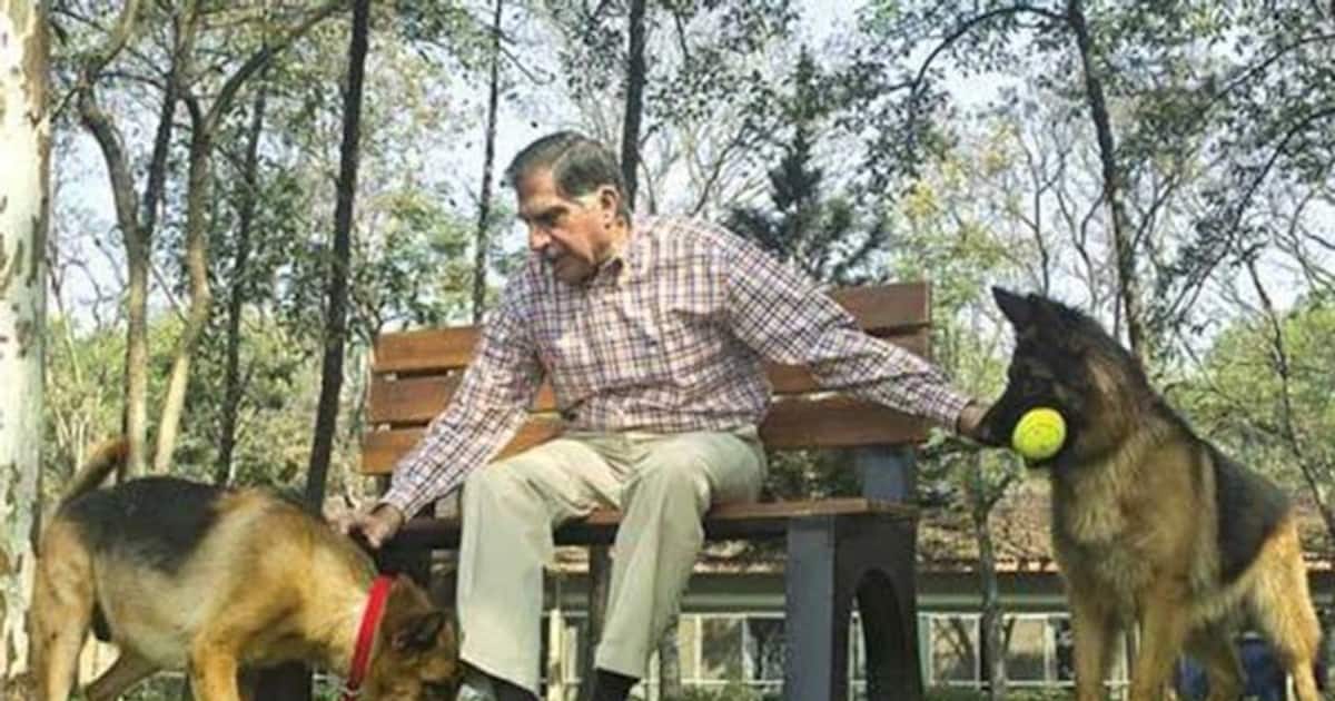 ఈ కుక్క రతన్ టాటా మీటింగ్స్ కూడా హాజరౌతుంది..! | The Dog Who Sits In ...