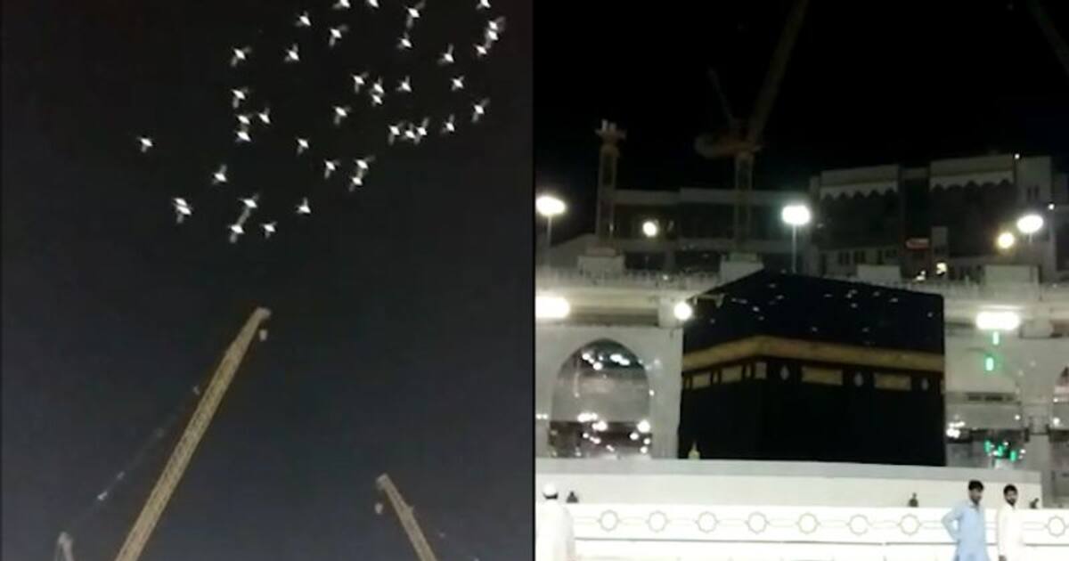 Coronavirus: Birds perform tawaf at Kaaba in Mecca after humans are ...