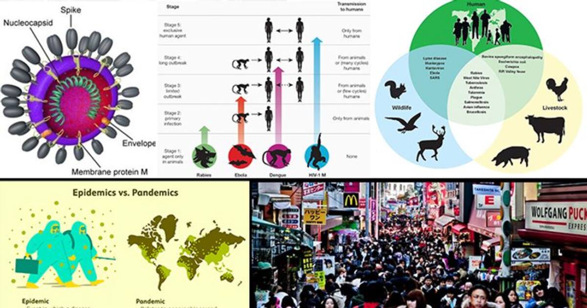 Coronavirus: Population explosion, human animal interface associated ...