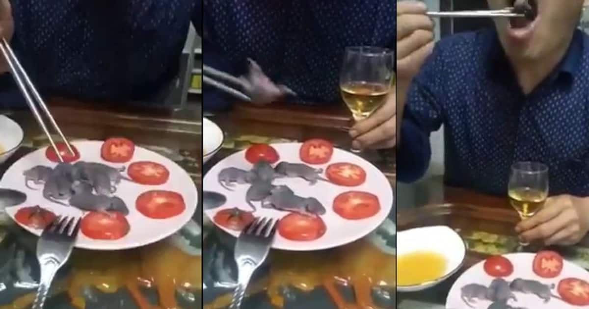 Viral video: Man dips baby mouse in sauce, eats it alive
