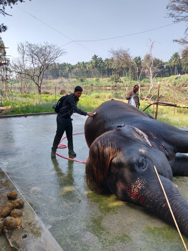ಇವಳೇ ನೋಡಿ ಬಾಬ್‌ ಕಟ್ ಸೆಂಗಮಾಲಂ: ವಿಭಿನ್ನ ಹೇರ್‌ಸ್ಟೈಲ್‌ಗೇ ಫೇಮಸ್! | Meet Bob ...