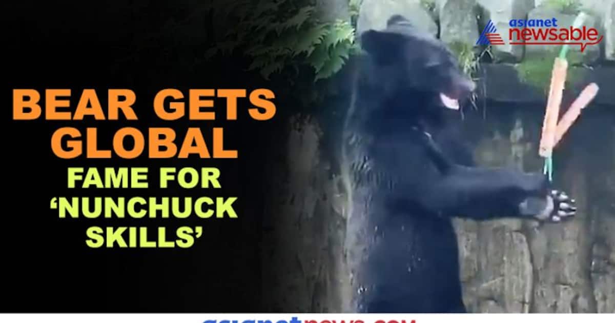 Bear shows off 'nunchuck skills'; video surprises netizens