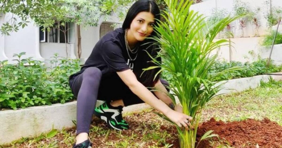 మహేష్‌కి థ్యాంక్స్ అంటూ.. హృతిక్‌, రానా, తమన్నాలను సవాల్‌ చేసిన శృతి ...