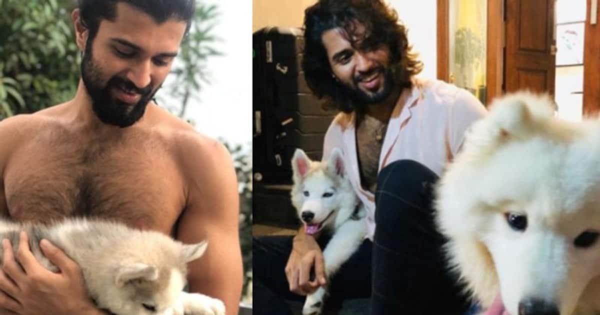 സ്റ്റോം ദേവരകൊണ്ടയും ചെസ്റ്ററും; 'ചില്ലിംഗ്' പടവുമായി വിജയ് ദേവരകൊണ്ട ...