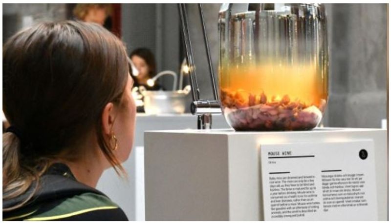 ഓക്കാനം തോന്നുമെങ്കിലും ഇവയും ഭക്ഷണം; അറിയാം ലോകത്തെ ചില വിചിത്ര ...