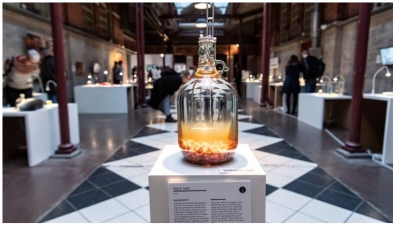 ഓക്കാനം തോന്നുമെങ്കിലും ഇവയും ഭക്ഷണം; അറിയാം ലോകത്തെ ചില വിചിത്ര ...