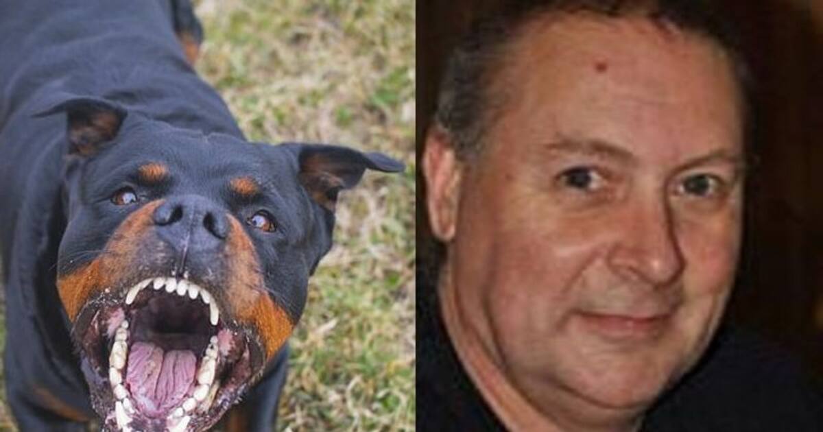 ഉടമയെ കടിച്ചുകീറി കൊന്ന് വളര്‍ത്തുപട്ടി; ദാരുണസംഭവം നടന്നത് ...