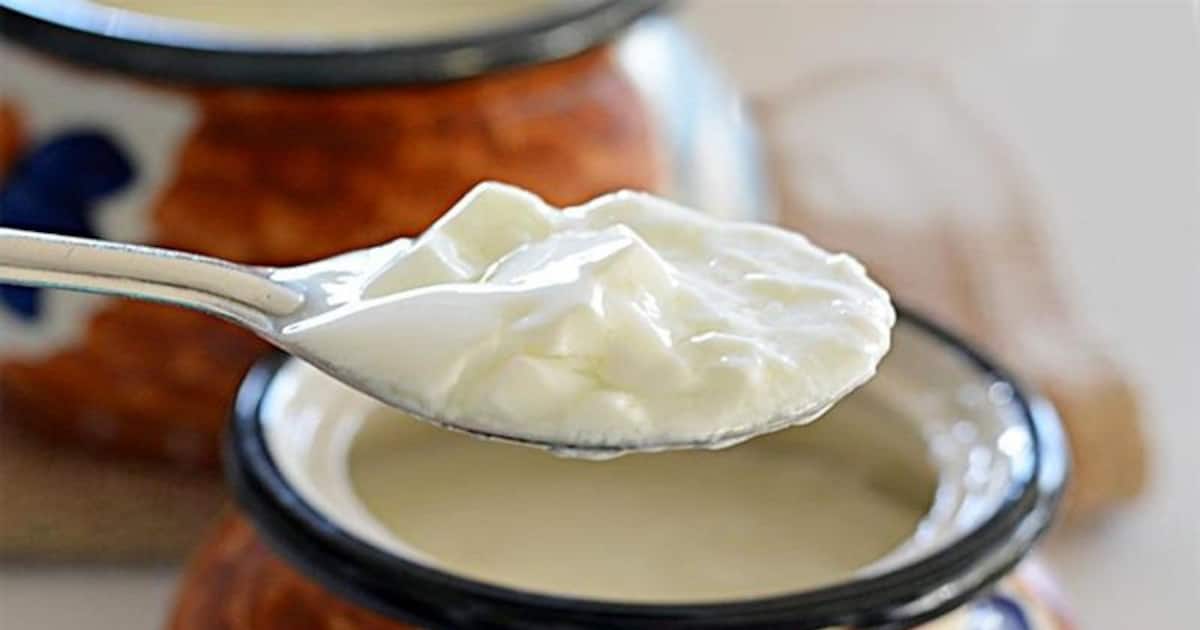 Amazing health benefits of curd and why you consume it every day