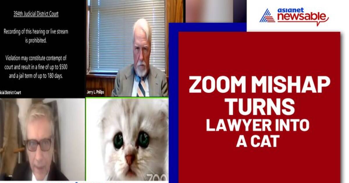 Zoom filter turns lawyer into cat during virtual hearing; video goes viral
