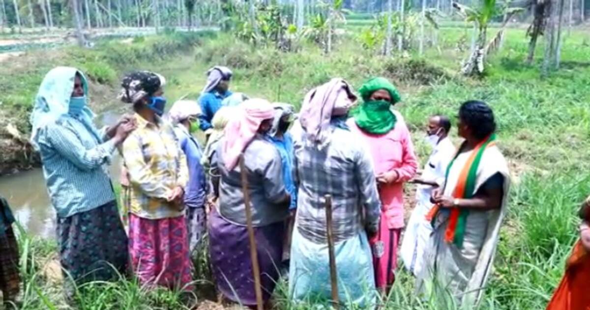 ഗോത്രഭാഷയില്‍ വോട്ടഭ്യര്‍ത്ഥിച്ച് സി.കെ. ജാനുവിന്‍റെ വേറിട്ട പ്രചാരണം ...