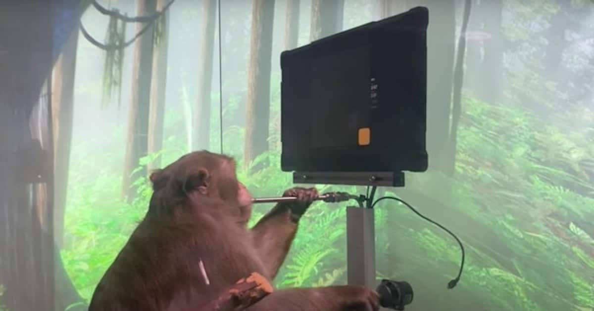 OMG! Monkey playing video games? Elon Musk's Neuralink shows something ...