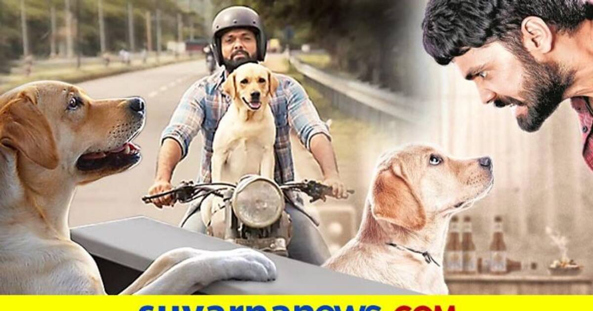 777 Charlie: ರಕ್ಷಿತ್ ಶೆಟ್ಟಿ ಚಿತ್ರಕ್ಕೆ ಸೆನ್ಸಾರ್ ಮಂಡಳಿಯಿಂದ U/A ...