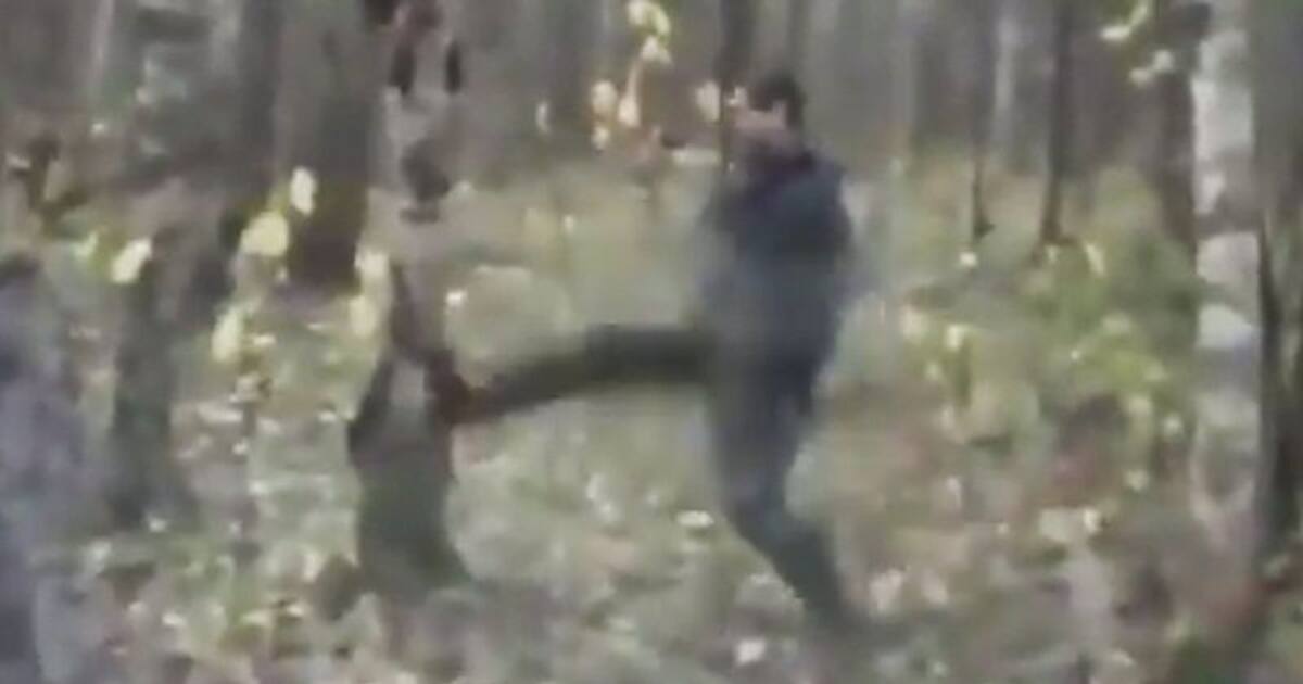 Man hits tree continuously, tastes fruit of karma in the end; Watch ...