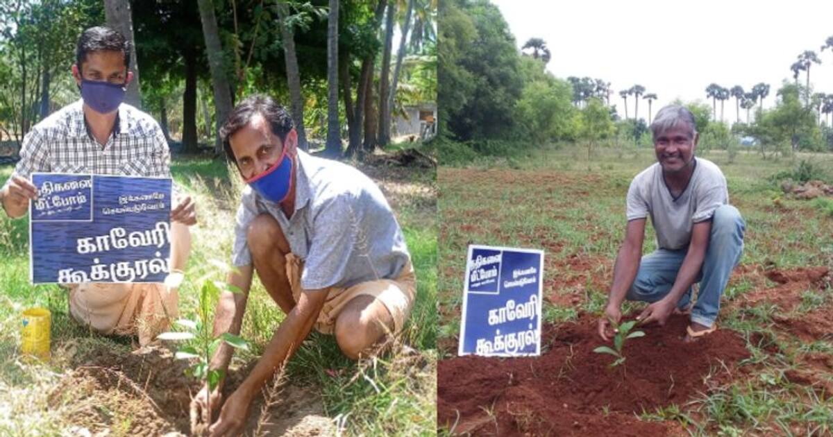 தேசிய வன மகோத்சவத்தை முன்னிட்டு கோவை உட்பட 4 மாவட்டங்களில் 20 ஆயிரம் ...