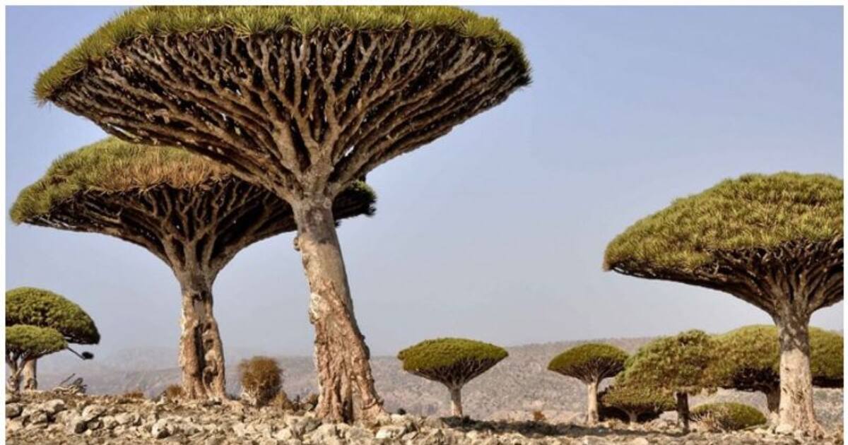 mythical islands around world: உலகின் வினோத தீவுகள் குறித்து தெரியுமா ...