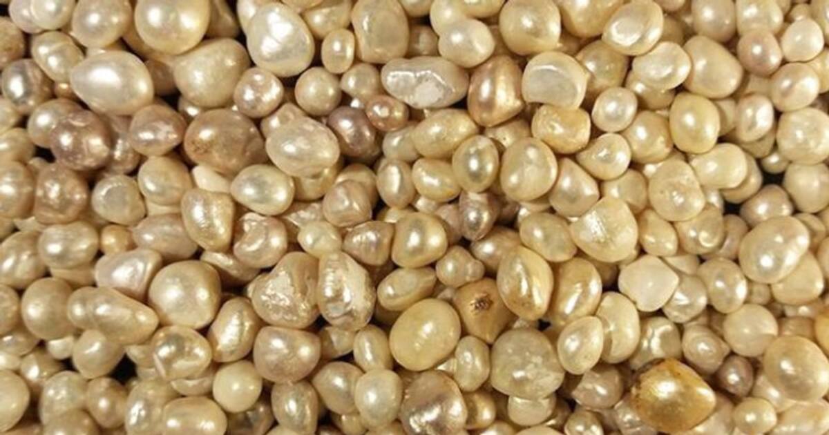 Pearl Treasure valued at over 100 Million US$ has been documented