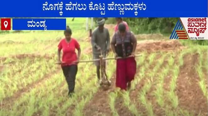 Asianet Suvarna News Live TV: Watch Kannada News Live TV Free Online!