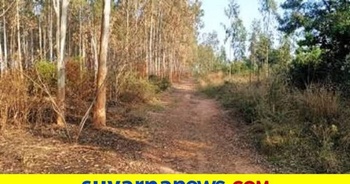 ಬೆಂಗಳೂರು: ಜಾರಕಬಂಡೆ ಉದ್ಯಾನ ನಿರ್ಮಾಣದ ಹಿಂದೆ ರಿಯಲ್‌ ಎಸ್ಟೇಟ್‌ ಲಾಬಿ..! | Real ...