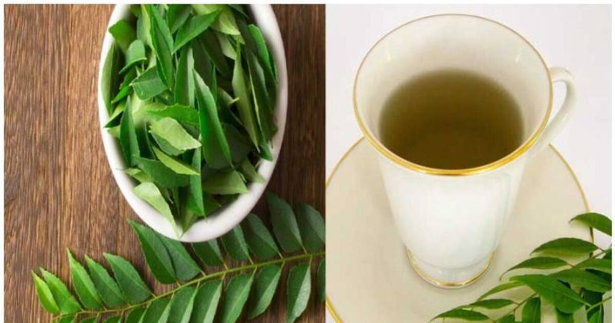 Curry leaf tea: தினமும் 1 கப் கறிவேப்பிலை டீ குடித்து பாருங்கள்...இது ...