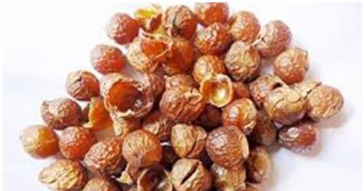 కుంకుడు కాయతో ఇలా చేస్తే వతైన పొడువు జుట్టు మీ సొంతం! | Best ...