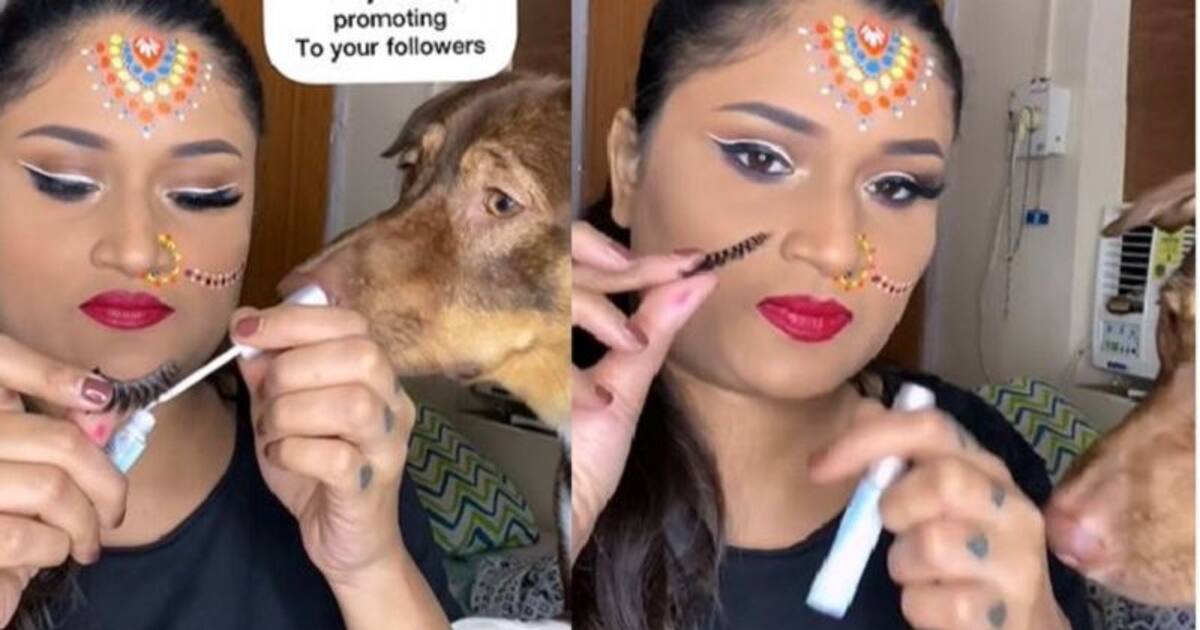 Cutest pet Dog:ಮೇಕ್‌ಅಪ್ ಆರ್ಟಿಸ್ಟ್ ಆದ ಕ್ಯೂಟ್ ಡಾಗ್, ವೈರಲ್ ವಿಡಿಯೋ ...