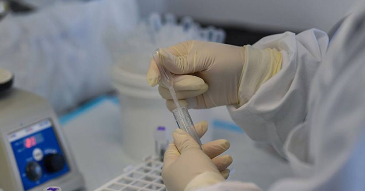 IIT Delhi researchers claim to have developed new way to detect Omicron ...